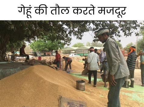 Faridkot News Commission Agent Stole Market Fee Fir फरीदकोट में