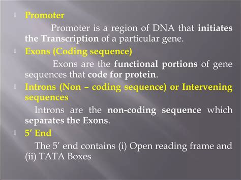 Genes Ppt