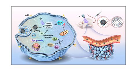 Regulating Manganese Site Electronic Structure Via Reconstituting Nitrogen Coordination For