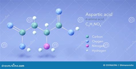 Aspartic Acid Molecular Structures Amino Acid 3d Model Structural