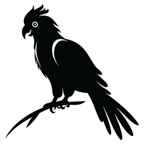 Premium Vector Cockatoo Black Silhouette Vector