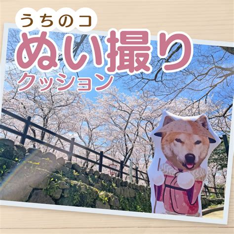 ペットと一緒に旅行をしよう‼ うちのコぬい撮りクッション【送料無料】