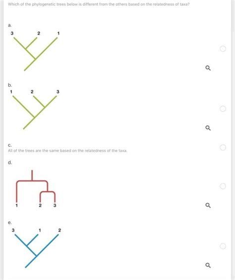 Solved Which Of The Phylogenetic Trees Below Is Different