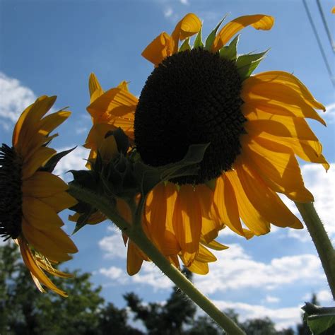 Patrick Ware Youtube