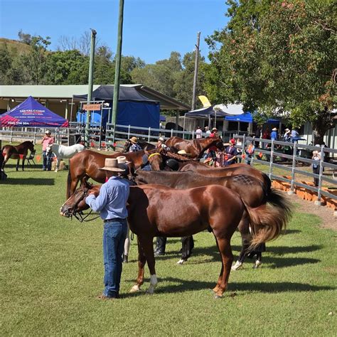 Bryson Head Mp Bryson Head Mp Added A New Photo