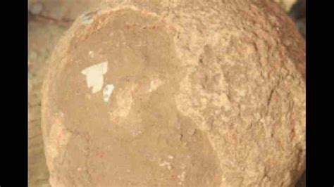 Madhya Pradesh Titanosaur Eggs In Central India Tell A Tale
