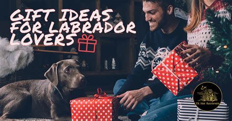 T Ideas For Labrador Lovers Tk Hot Kennels