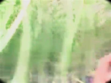 Bangla Publicplace Bangladeshi Village Girl Fuck In Jungle গ্রামের কচি মেয়েকে পাট ক্ষেতে নিয়ে