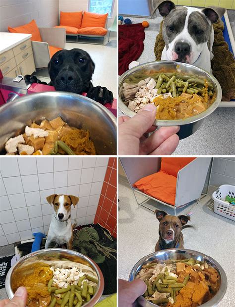 50 People Who Were Pleasantly Surprised With A Wholesome Thanksgiving