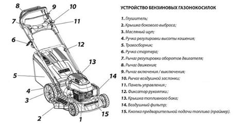 ᐉ Как выбрать газонокосилку для стрижки травы • Объясним какие бывают ...