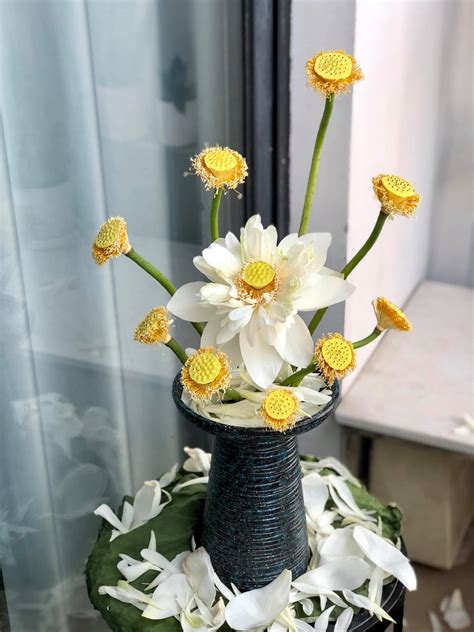 Cắm Hoa Sen Nghệ Thuật Bằng Cách Vô Cùng đơn Giản Ai Cũng Làm được Chỉ