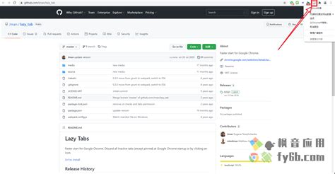 Chrome Github 加速 v 枫音应用