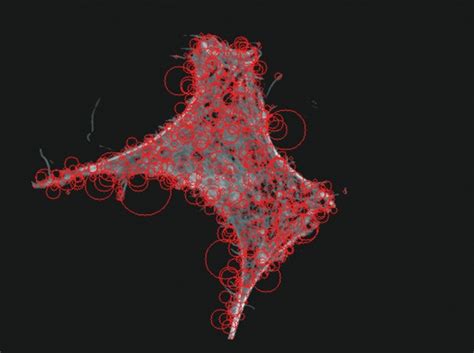 Local Regions Detected By Surf Speeded Up Robust Features Which Is A Download Scientific