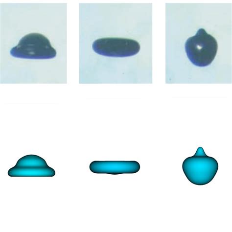 Comparison Of Droplet Shapes With Experimental Results 35 Top And Download Scientific