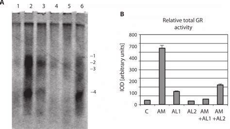 Glutathione Reductase Gr Activity Of Non Inoculated Control And Download Scientific Diagram