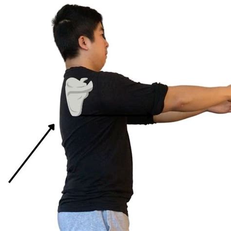 Scapular Muscles Exercises