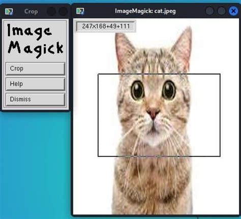 Fast Image Cropping Tools In Linux Baeldung On Linux