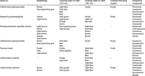 Chemical Screening Of Fungal Isolates By Tlc Download Scientific Diagram