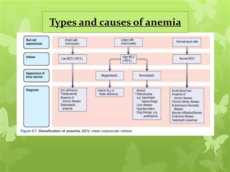 Multiple Myeloma Case Presentation Pptx