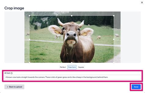 Humanities Teaching Academy Adding Alt Text In Mentimeter