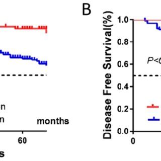 Low KLF14 Expression Predicts Poor Prognosis For CRC KLF14 Expression