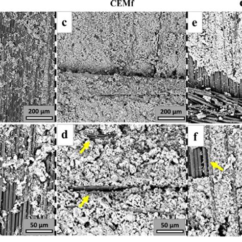 Sem Micrographs Of The Fractured Surface Samples After Pull Off Fig