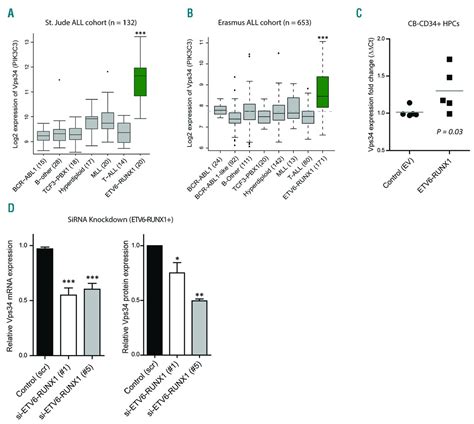 autophagy inhibition as a potential future targeted therapy for etv6