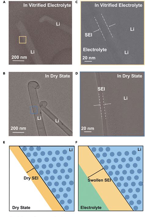 Figure 1 From Expanding The Cryogenic Electron Microscopy Toolbox To Reveal Diverse Classes Of