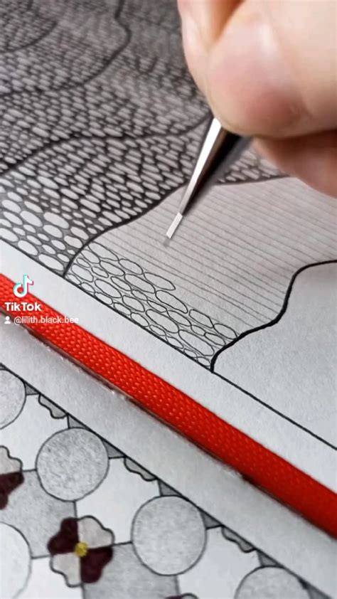 Graphite Microscopic Tree Section Drawing Practice In My Sketchbook