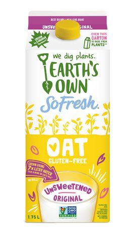 Earth S Own So Fresh Oat Unsweetened Original Walmart Canada
