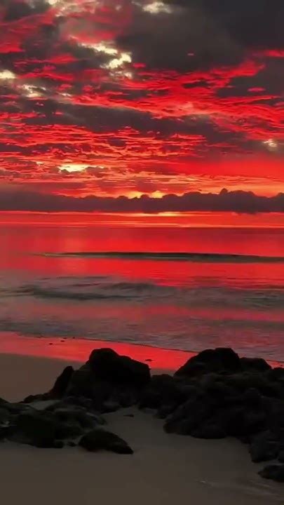 You Look Lonely I Can Fix That 🌅 Beach Sunset Youlooklonely Youtube