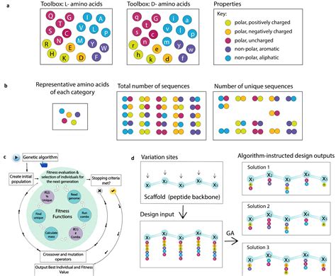 Algorithm Supported Mass And Sequence Diversity Oriented Random Peptide Library Design Center