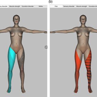 The Legend Of The Prototype Visual Encoding Figure 4a Depicts The