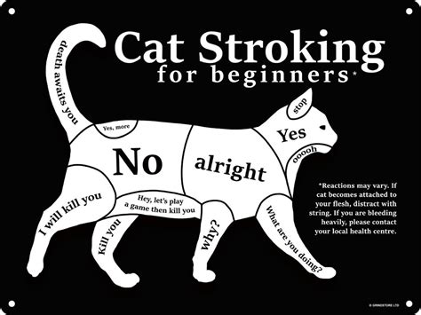 Cat Stroking For Beginners Mini Tin Sign Homeware Free Shipping