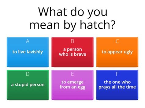 Unit 3 Ugly Duckling Quiz