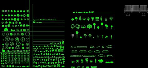 Trees DWG Detail For AutoCAD Designs CAD