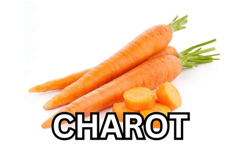 Carrot Memes Funny