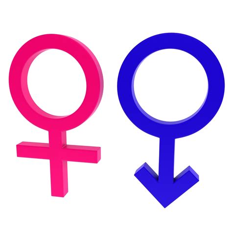 3d Gender Symbol Model