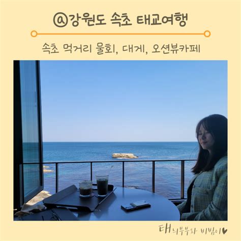 강원도 속초 태교여행 물회 대게 오션뷰카페 바다담다 네이버 블로그