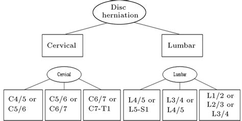 Domain Of The System In Diagnosing Herniated Disc Download