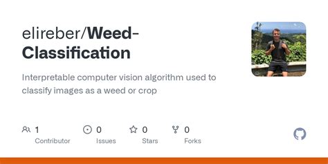 Github Elireberweed Classification Interpretable Computer Vision