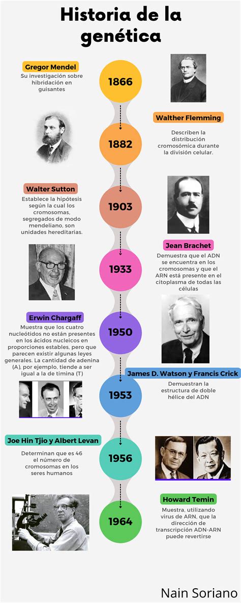 Infografía Historia De La Genética Historia De La Genética 1866 1882