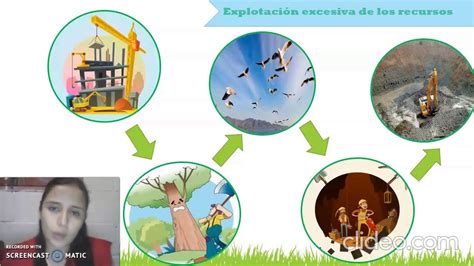 Consecuencias De Las Actividades Humanas En El Ambiente Otosection