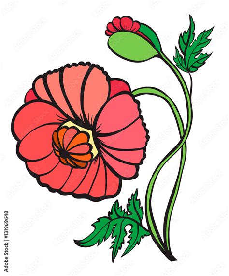 Red Poppies Isolated On White Background Stock Vector Adobe Stock
