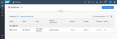 Executing Sap Hana Cloud Tasks From The Command Line Sap Tutorials