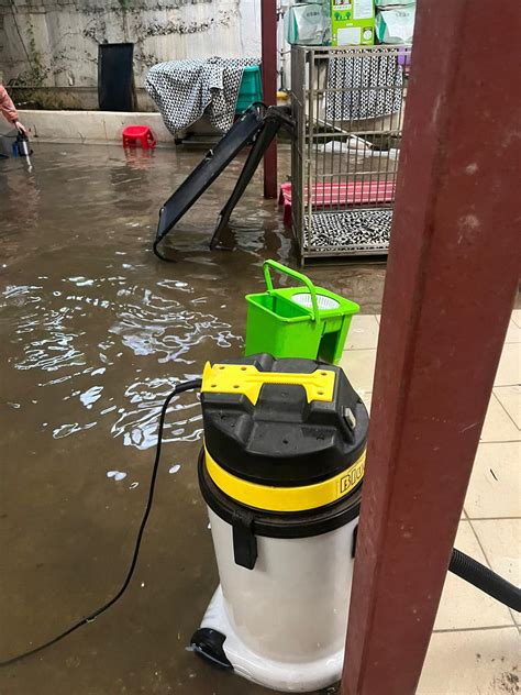 營運經費見底兼逢暴雨水浸 阿棍屋發文告急 香港動物報 Hong Kong Animal Post