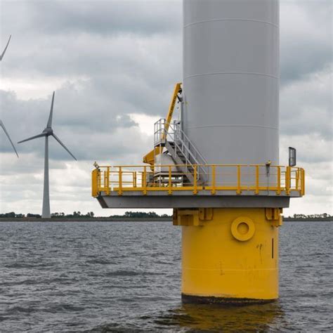 Effective Bird Control Methods For Offshore Wind And Energy Facilities
