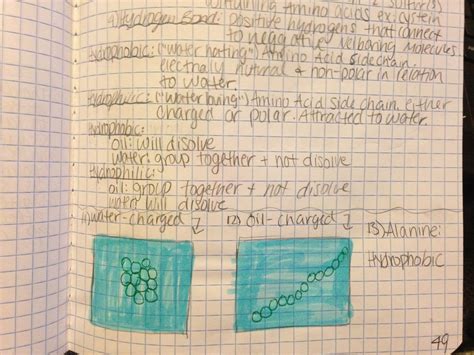 Analyze The Effect That Base Pair Mutations Have On Simulated Proteins Pltw Biomedical