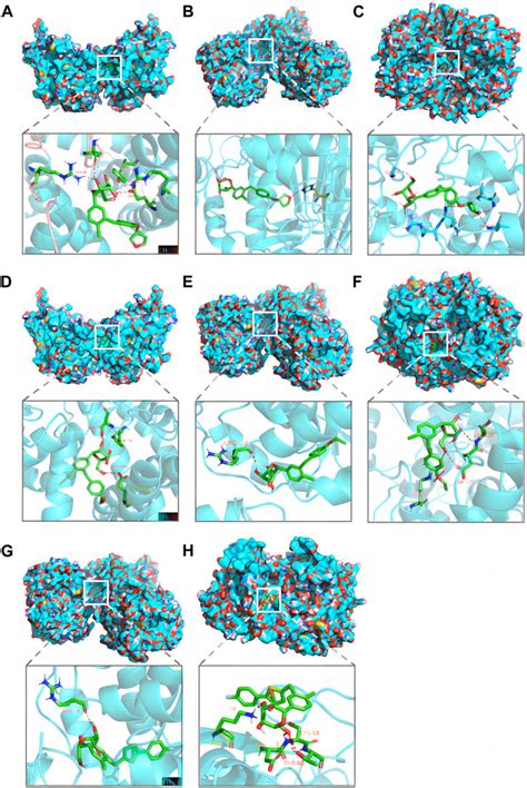 Frontiers Identification Of Key Genes Increasing Susceptibility To