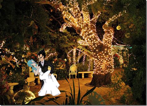 Vegeta And Bulmas Wedding A Moment Just For Both By Lala Dello On
